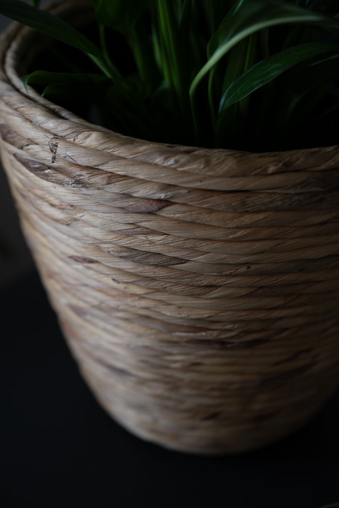 FANI living and outdoor